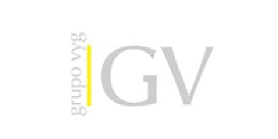 Grupo VYG